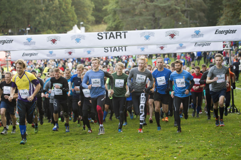 rjur lör 1 – Tjurruset